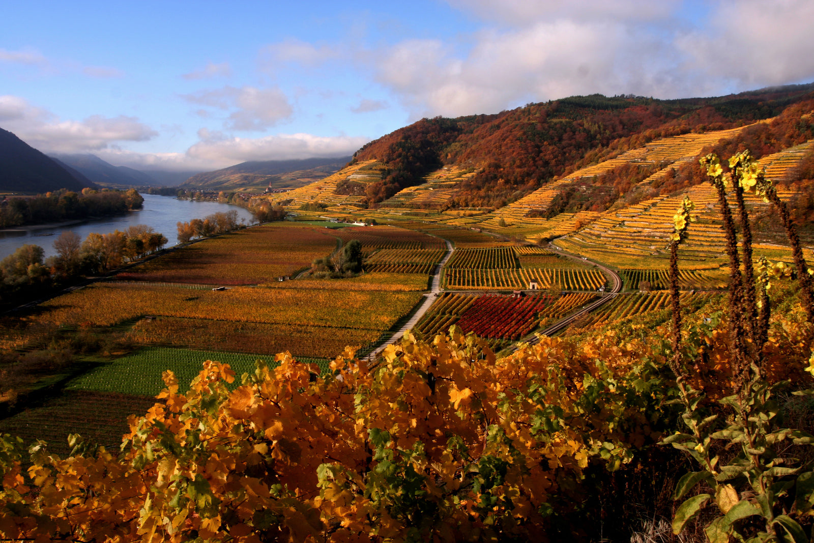 Weixelbaum: Grüner Veltliner und Riesling aus der Wachau – unicovino ...