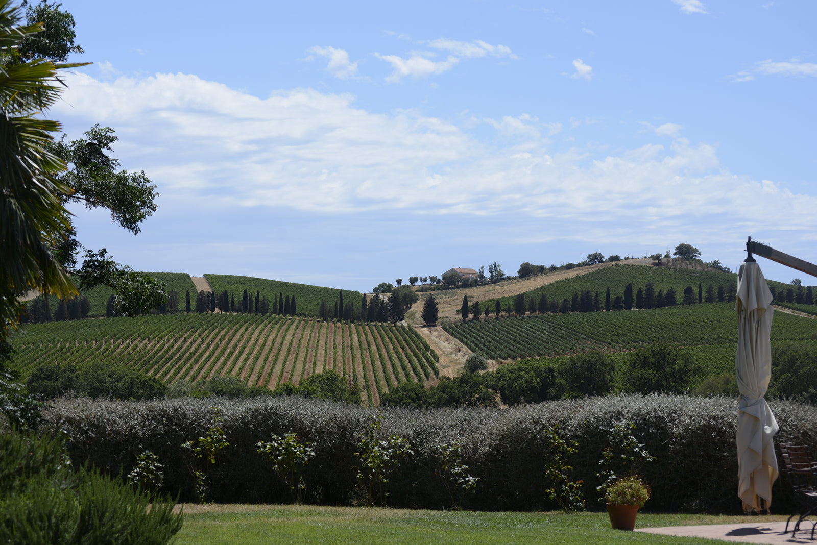 Val di Toro: Bio-Weine aus der Maremma im tiefen Süden der Toskana ...
